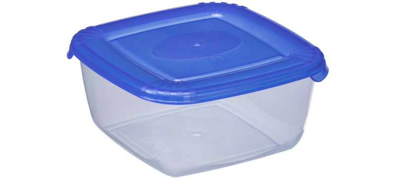 plast team Boîte de congélation Polar, 0,95 litre, bleu